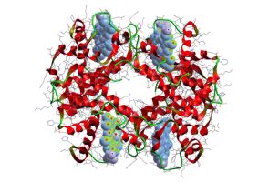 Image result for Avogadro Features