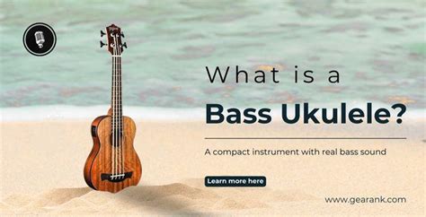 Image result for One String Bass Ukulele