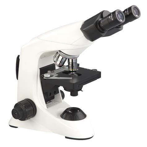 Biological Microscope - Vital Vision Technology Pte Ltd