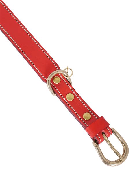 Image result for Red Cavapoo Dog Collar