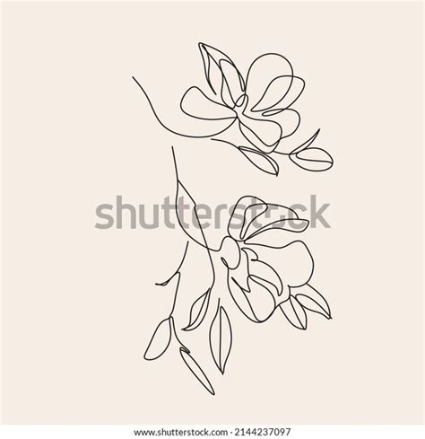 Line Art Flowers Botanical Line Drawings Stock Vector (Royalty Free ...