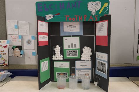 Image result for Elephant Toothpaste Project