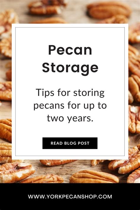Image result for How to Store Pecans