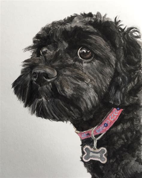 Image result for Cavapoo Art