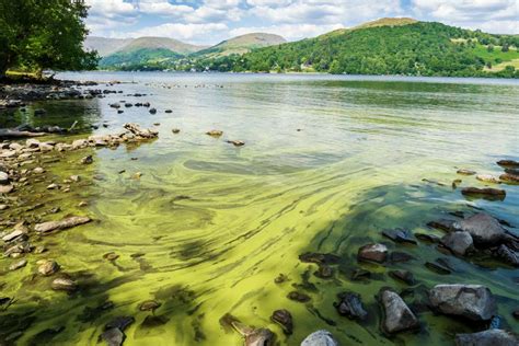 Image result for First Class Cities