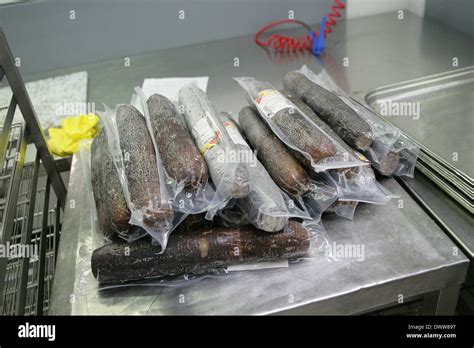 Image result for Hospital Cooking