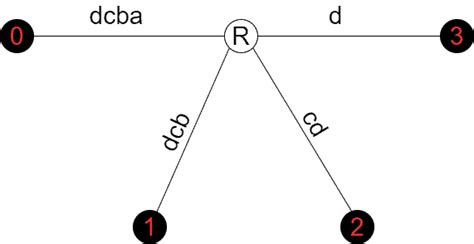 Image result for Ukkonen's Algorithm for Suffix Tree