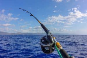 Image result for Vexus Boat Problems