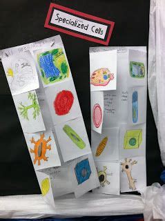 Image result for Teaching Learning Material for Science