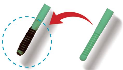 Image result for How to Collect Colofit Stool Sample