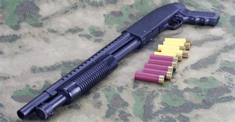 Image result for Prepper Rifles