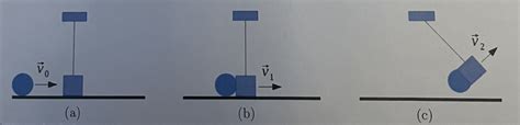 Image result for Completely Inelastic Collision