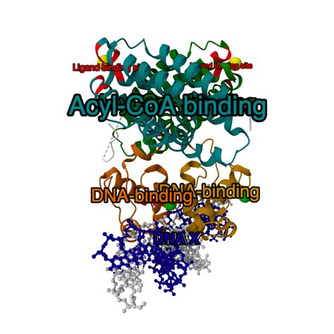 Image result for Open Mol File