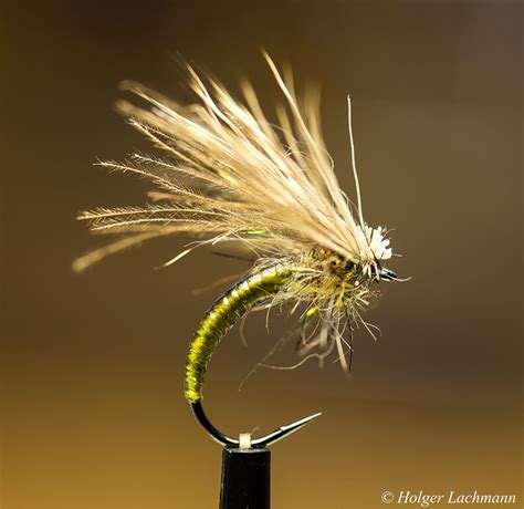 Image result for Dry-Fly Attractor Patterns