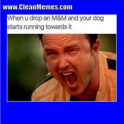Image result for Run Memes Clean
