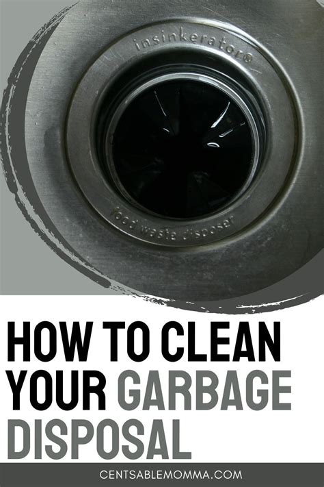 Image result for Garbage Disposal Clean Out