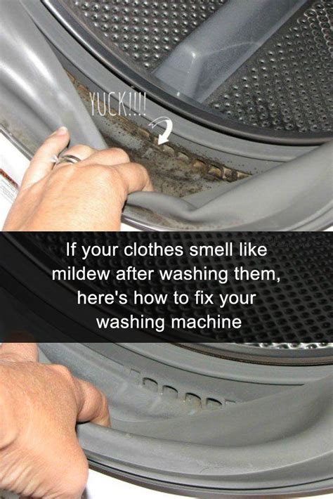 Image result for Fish Smell Inside Washing Machine