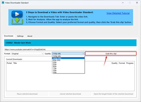 Image result for Video Downloader Online Developer Tools