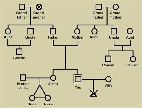 Image result for Genogram Design