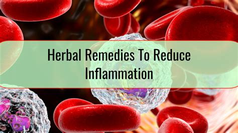 Image result for Reducing Inflammation