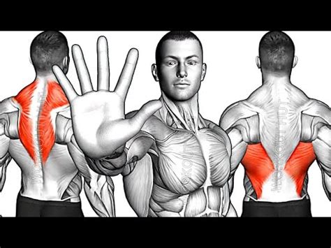 Image result for Back-Formation