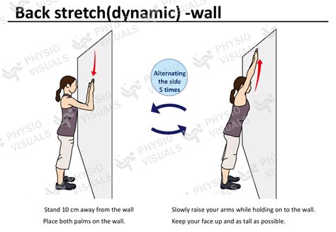 Image result for Dynamic Lower Back Stretch