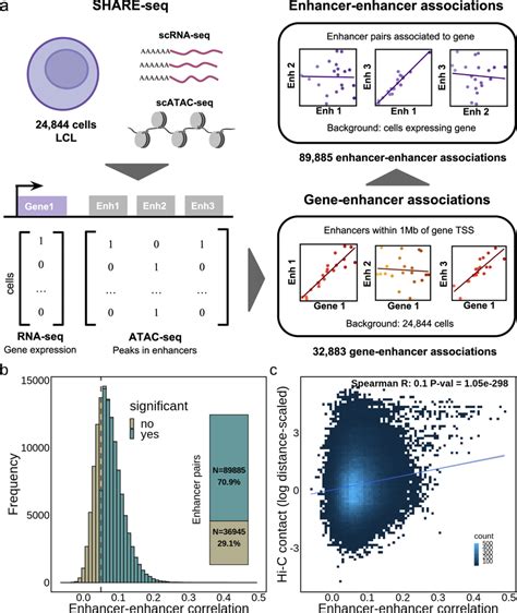 Image result for enhancer elements