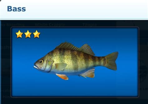 Image result for Ace How Long Bass Lesson