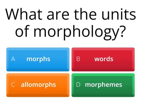Image result for Morphological System Examples