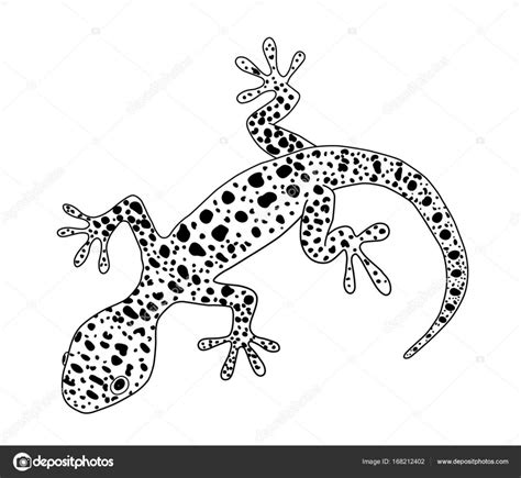 Image result for Simple Line Drawings Lizard