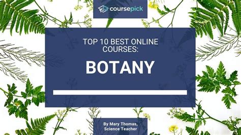 Image result for Learning Botany Australia