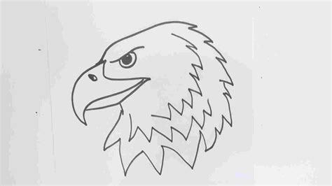 Image result for Hawk Drawing Easy Simple
