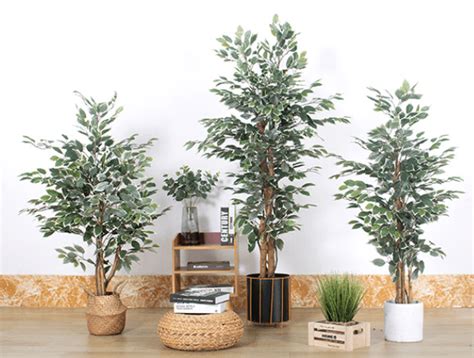 Image result for Fake Ficus Tree