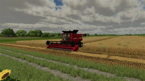 Image result for FS22 Wierd Mod