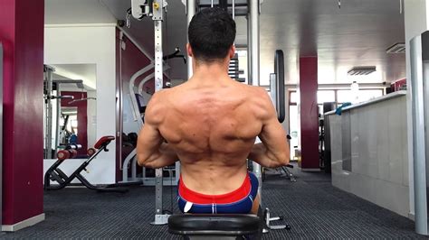 Image result for Back Workout for Definition