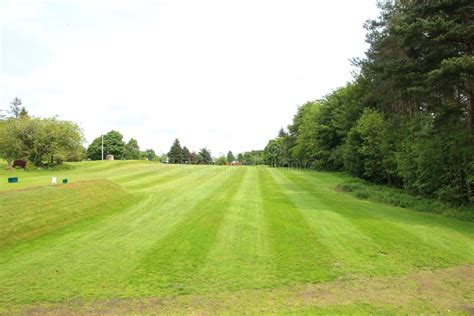 Image result for Tee Off Area at Golf Course
