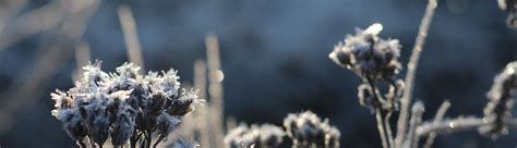 Image result for Simple Life Alaska