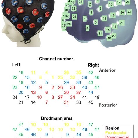 Image result for Near-Infrared Spectroscopy