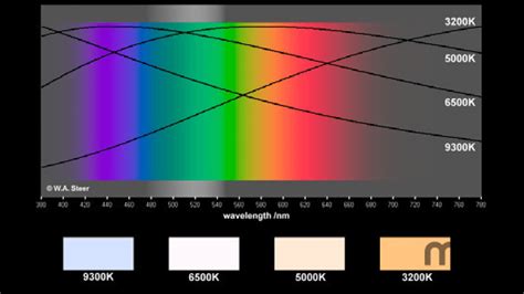 Image result for Basic Color Display 6