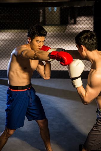 Image result for Boxing in Pool