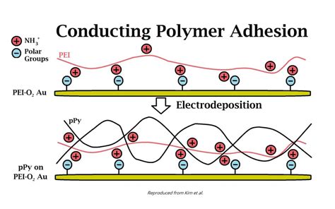 Image result for Conducting Polymer Powder