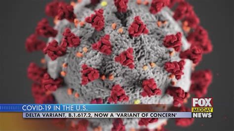 Image result for Delta Variant 83