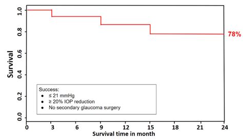 Two-year success rate. Applying the success criteria, defined as IOP