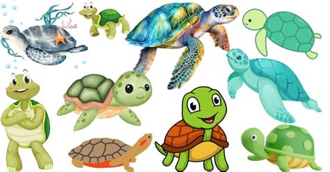 Image result for Turtle in Shell