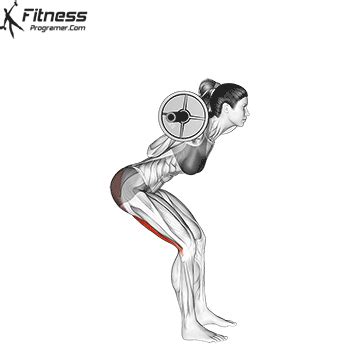 Image result for Good Morning Exercise