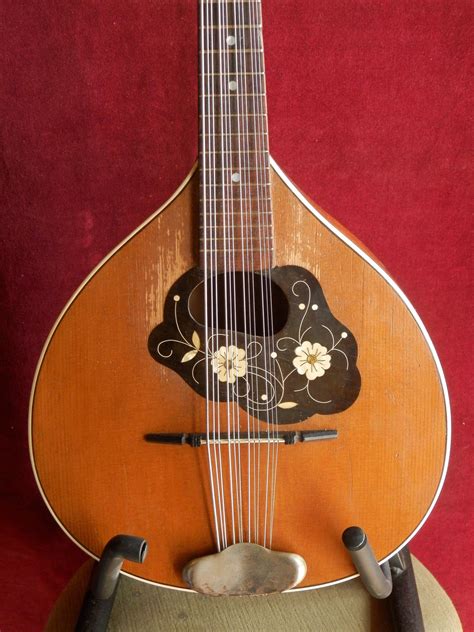 Image result for 12 String Mandolin