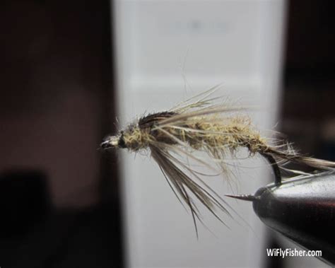 Image result for Green Drake Nymph Patterns