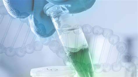 Image result for DNA Extraction Process On Plants