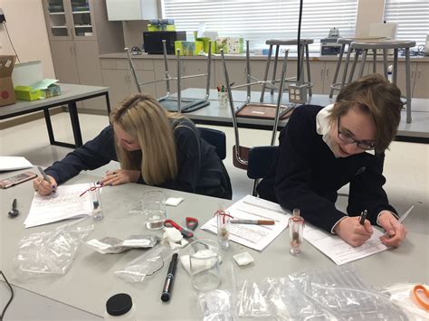 Image result for Advanced Placement Environmental Science