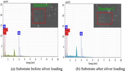 SEM–EDS spectra of the samples | Download Scientific Diagram